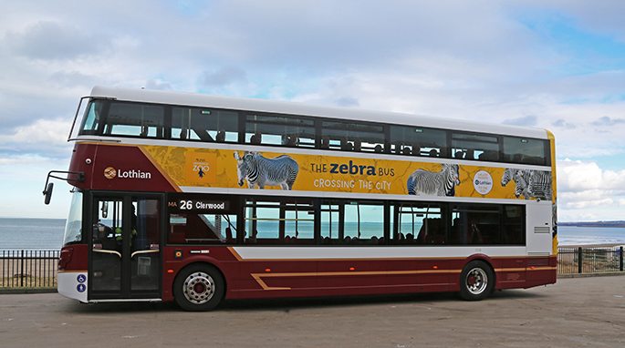 The Zebra has earned it's stripes! - Lothian Buses