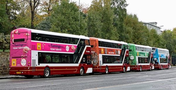Edinburgh goes wild for new zoo design buses - Lothian Buses