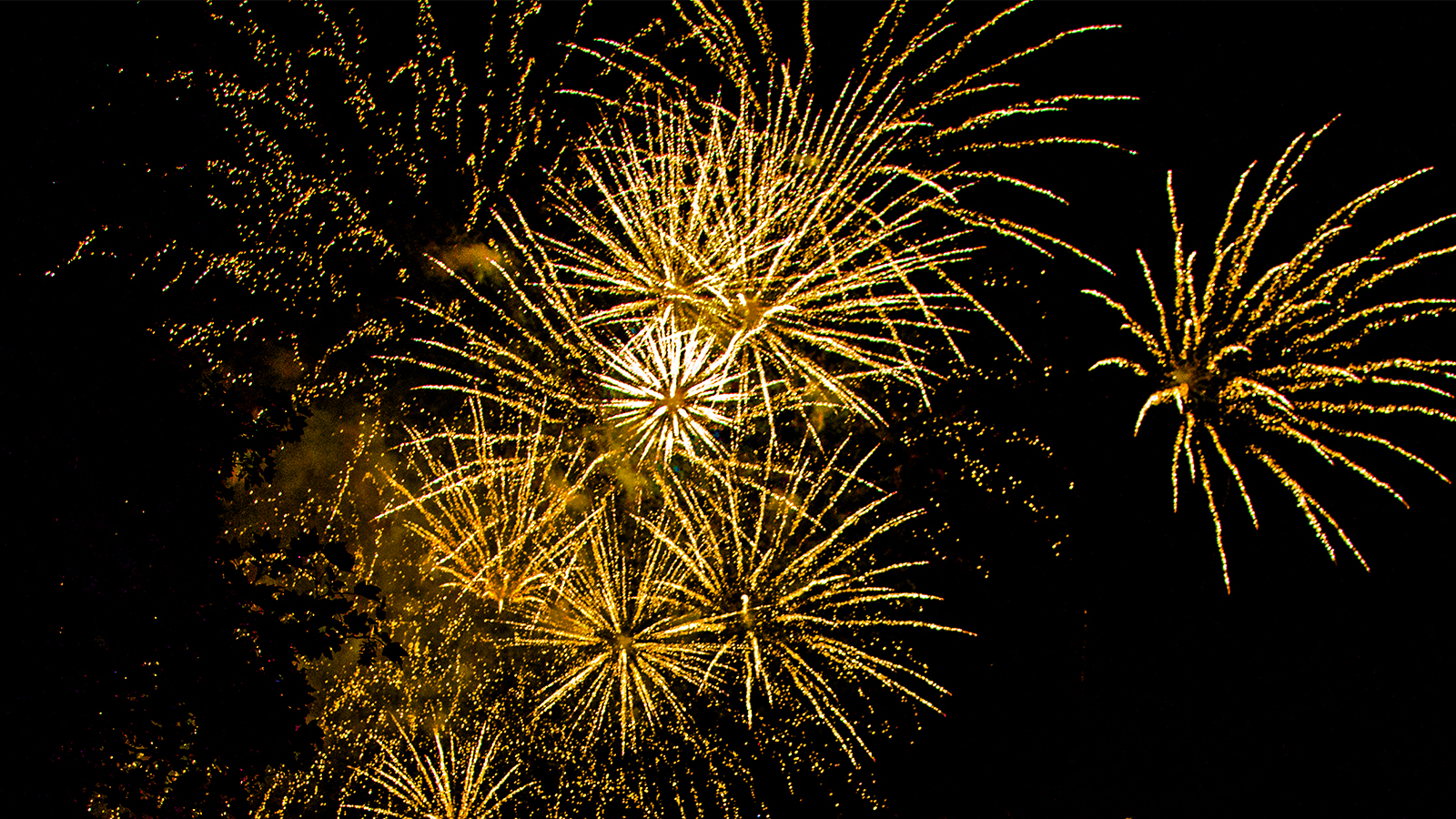 Virgin Money Fireworks Concert - Lothian Buses