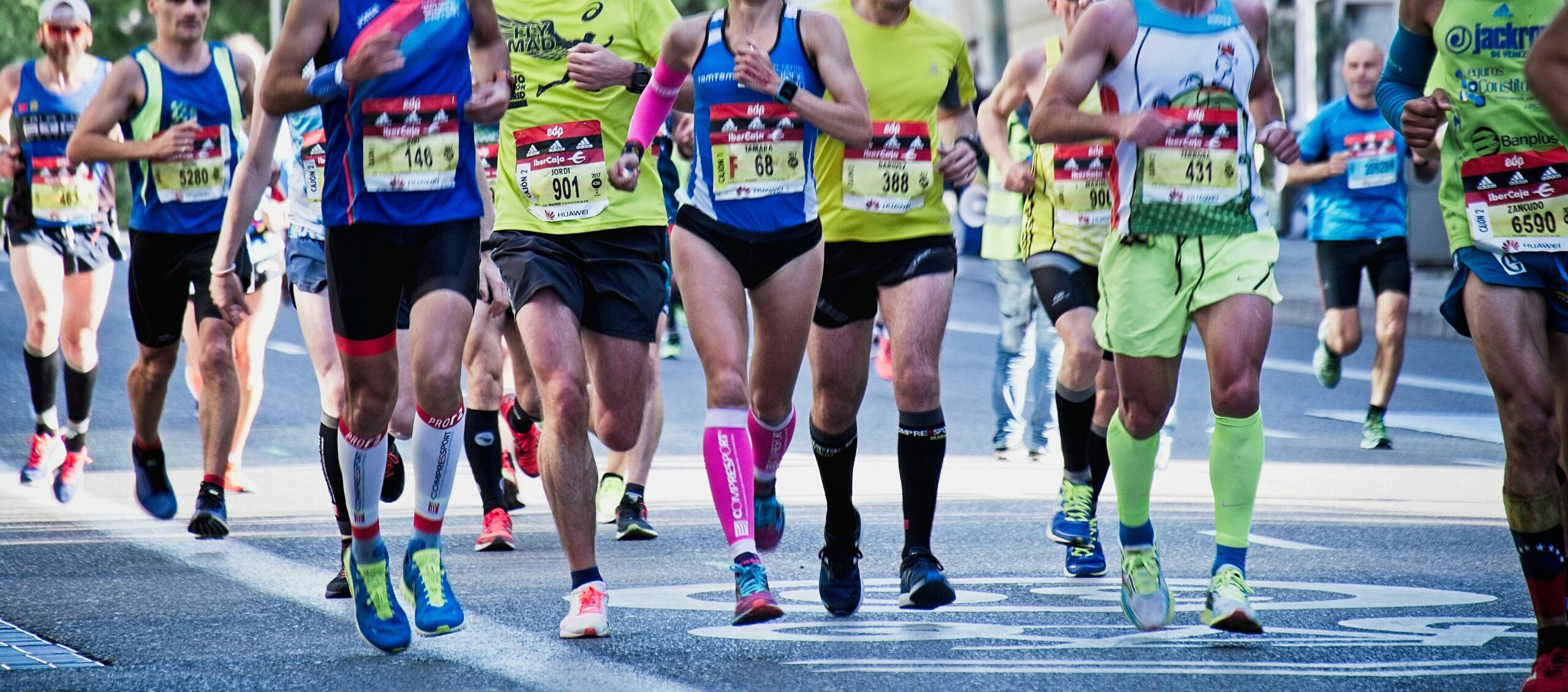 Edinburgh Marathon Festival 2024 - Lothian Buses